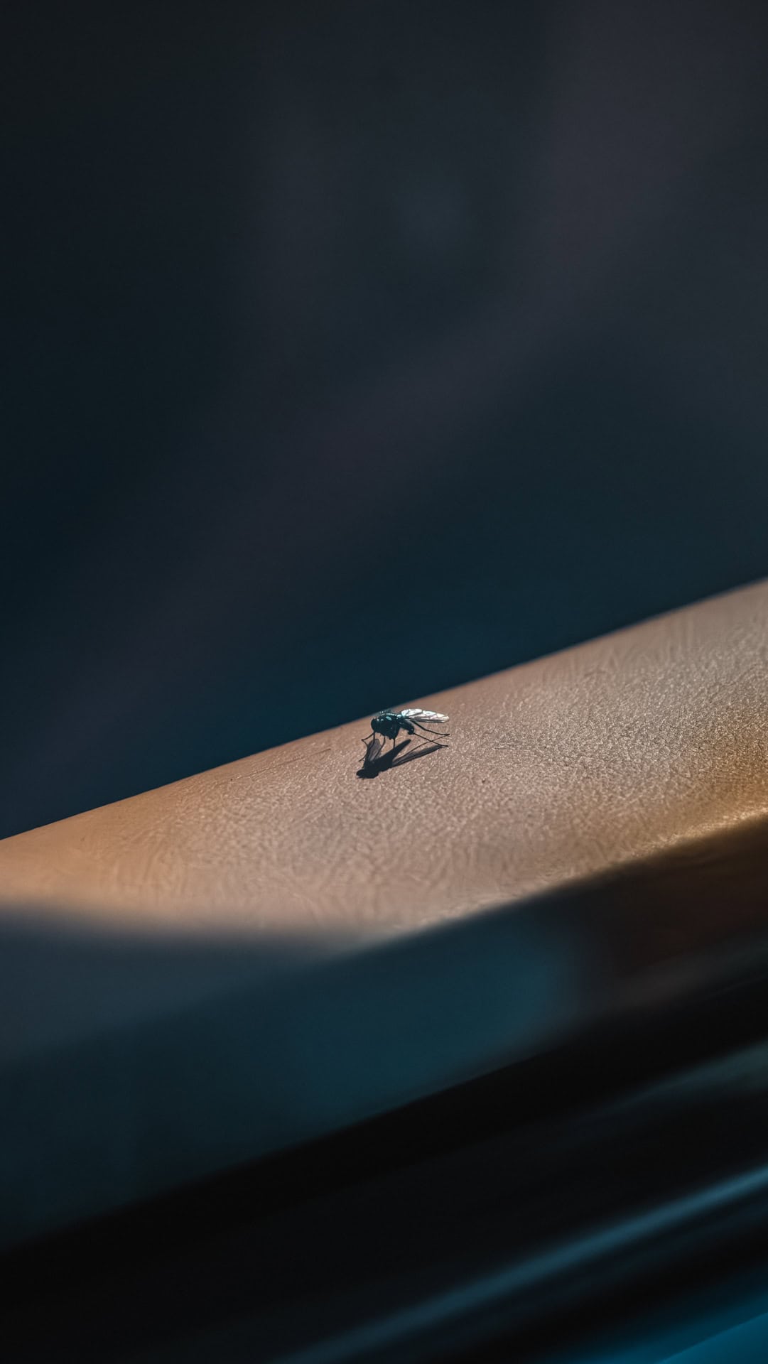 McLaren 765LT Wheels - Brixton Forged™