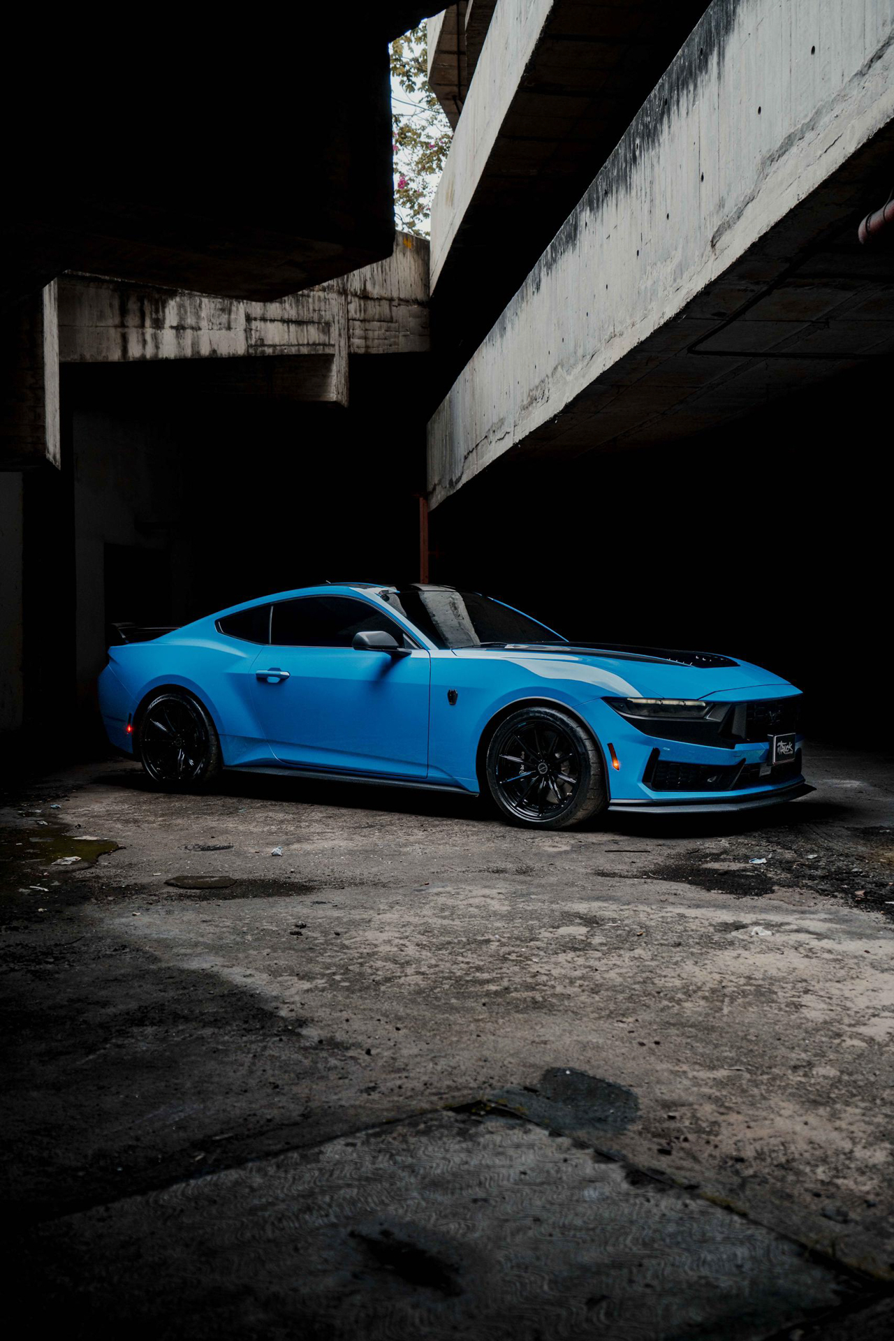 Grabber Blue Ford Mustang Dark Horse - Brixton Forged™